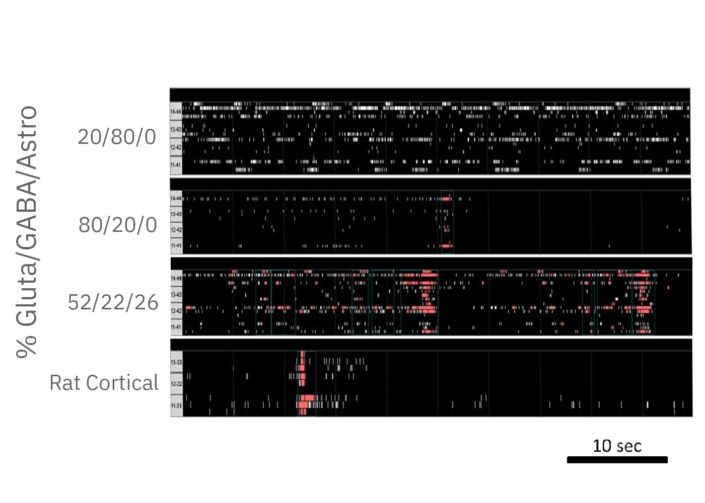 Neural Co Culture And Glial Interaction Assay Axion Biosystems